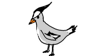 Quem Somos – AAQQ – Associação Anhumas Quero-Quero